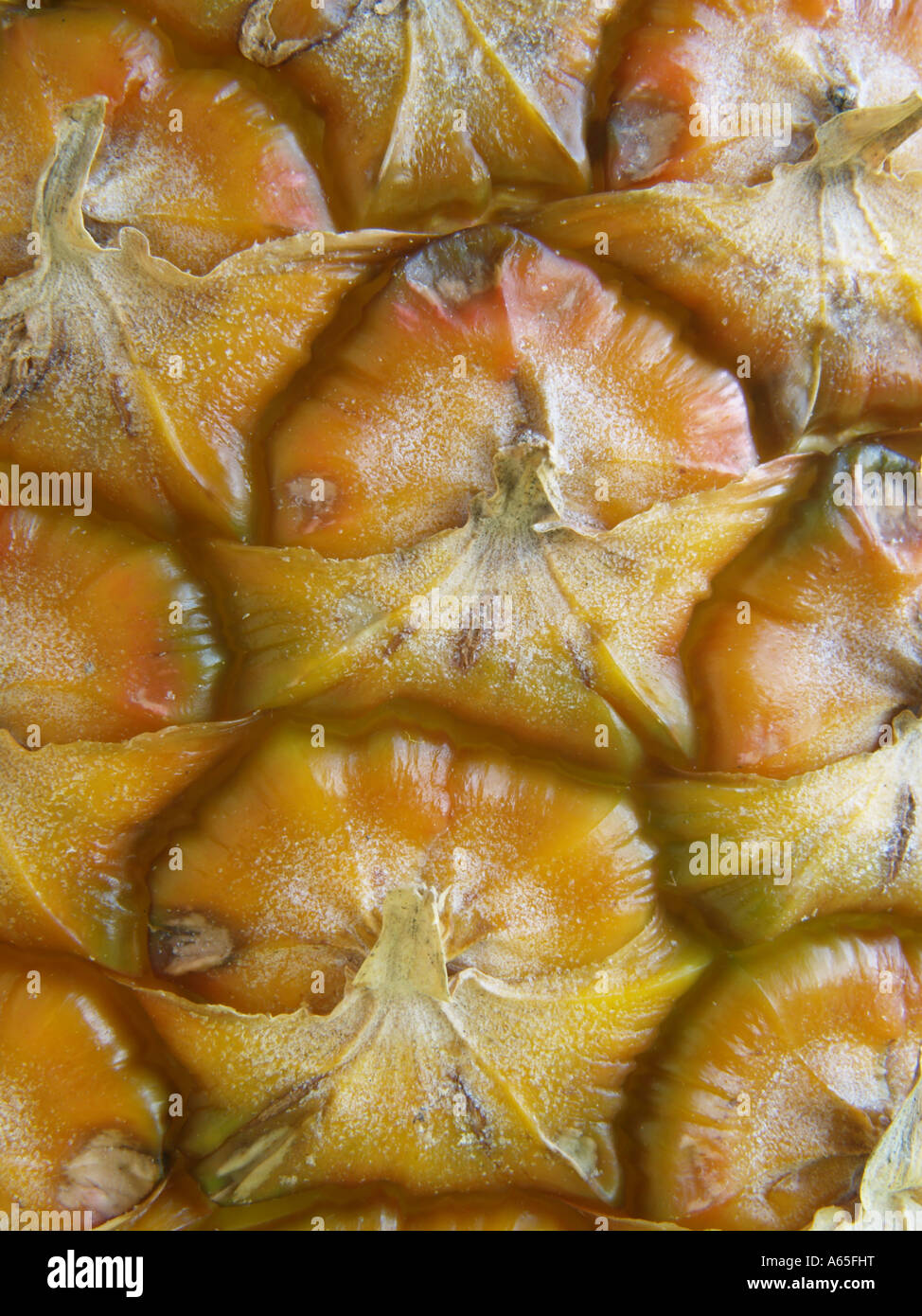 Pineapple close up Stock Photo - Alamy