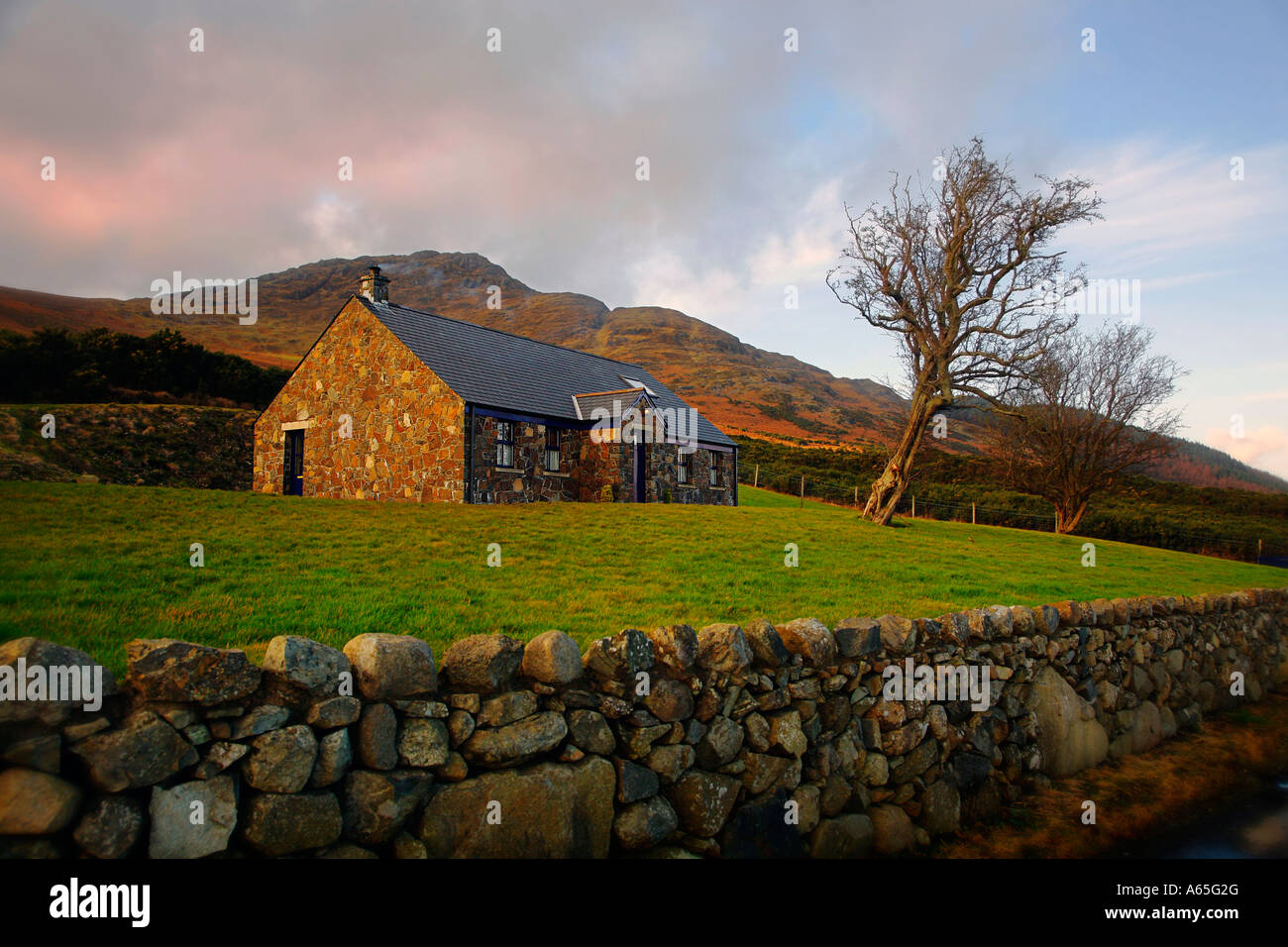 Gold house co hi-res stock photography and images - Alamy