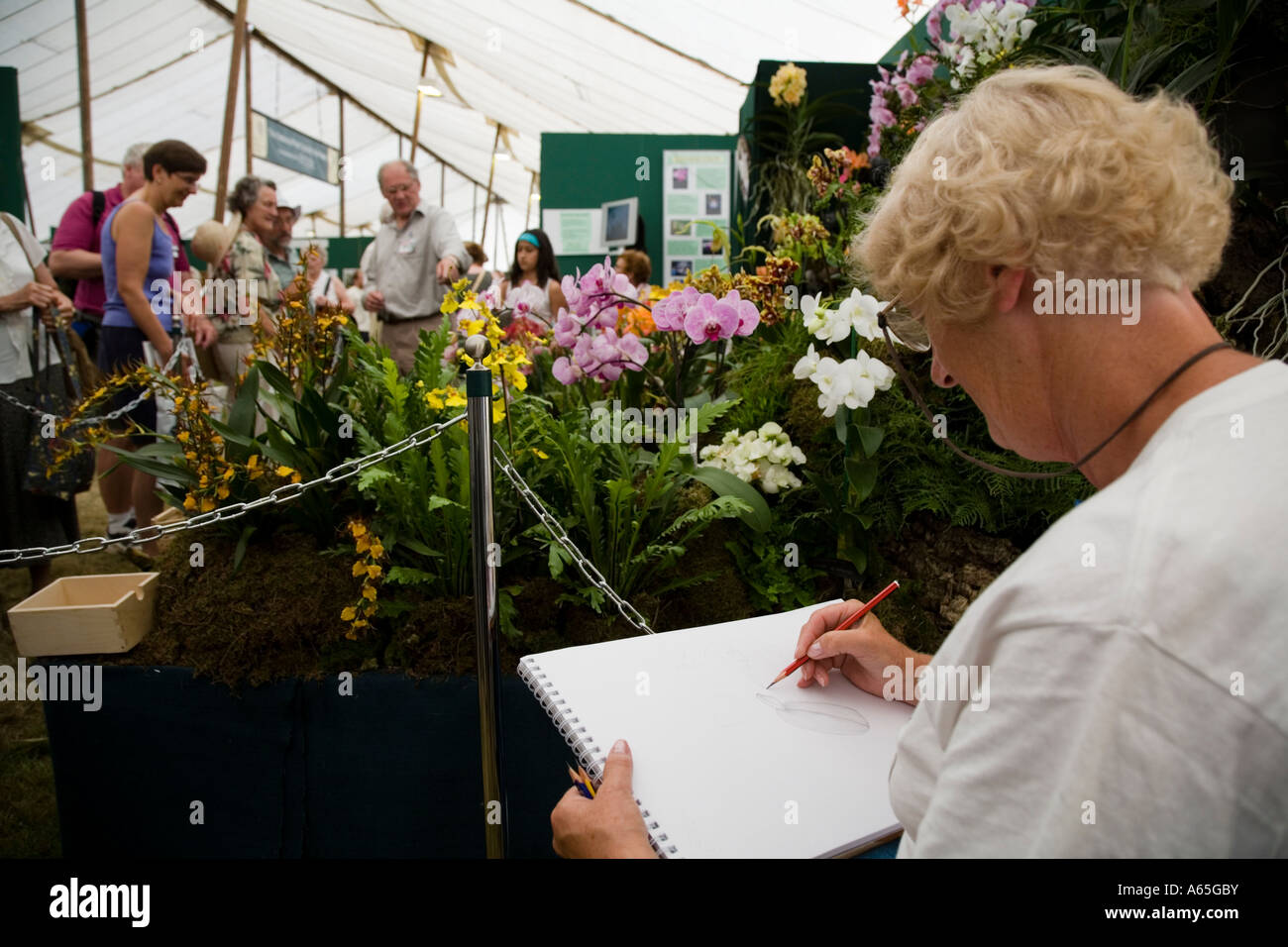 Artist sketches at the Royal Horticultural Show Tatton Park 2006 Stock ...