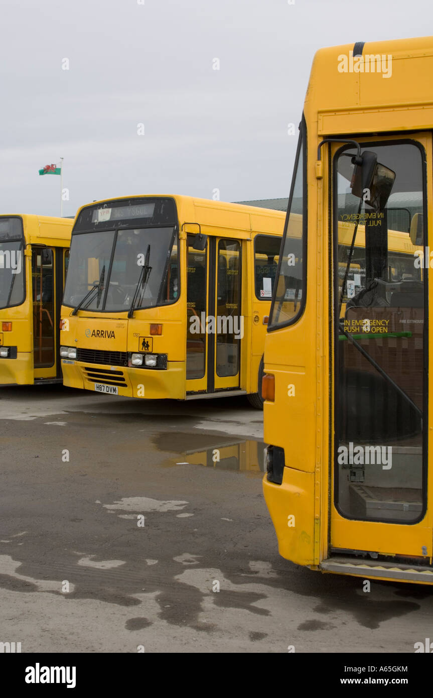 Arriva wales yellow painted school buses parked in depot Stock Photo ...