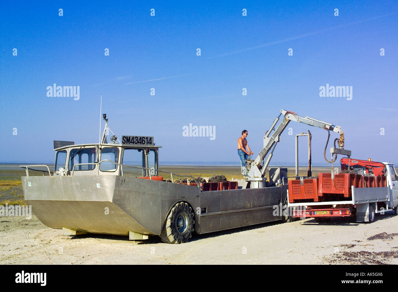 AMPHIBIAN TRUCK UNLOADING MUSSELS GATHERING BRITTANY FRANCE Stock Photo ...