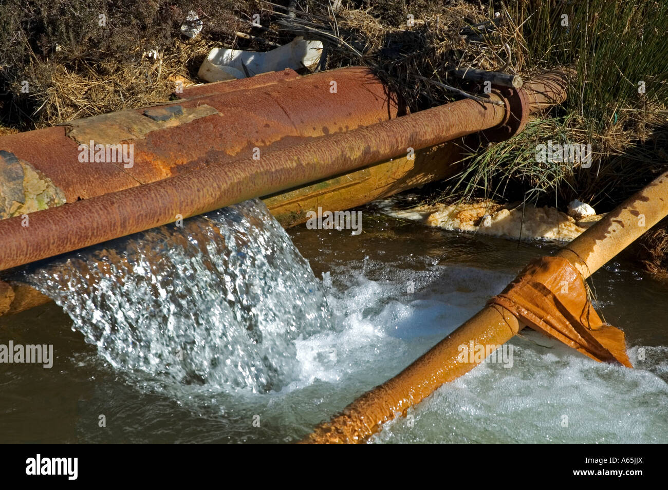 a polluted stream near redruth in cornwall,england Stock Photo - Alamy
