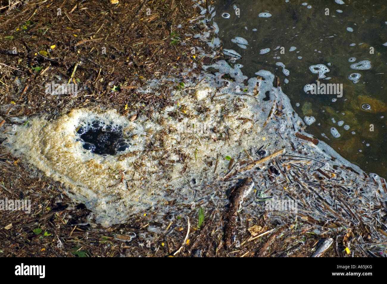 a polluted stream near redruth in cornwall,england Stock Photo - Alamy