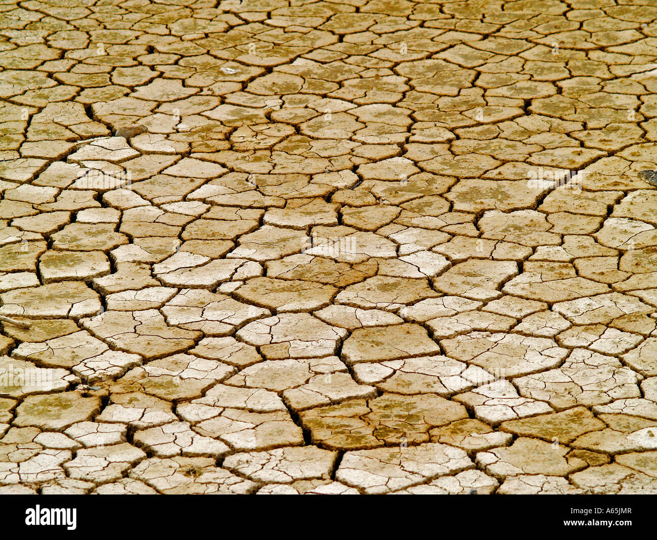 a dried up river bed Stock Photo - Alamy