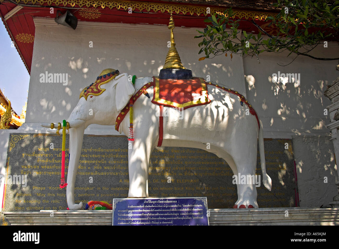 White elephant hi-res stock photography and images - Alamy