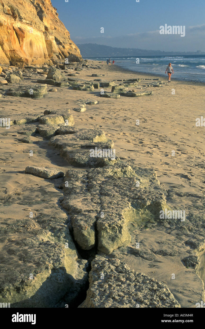 Torrey Pines State Beach San Diego County CALIFORNIA Stock Photo - Alamy