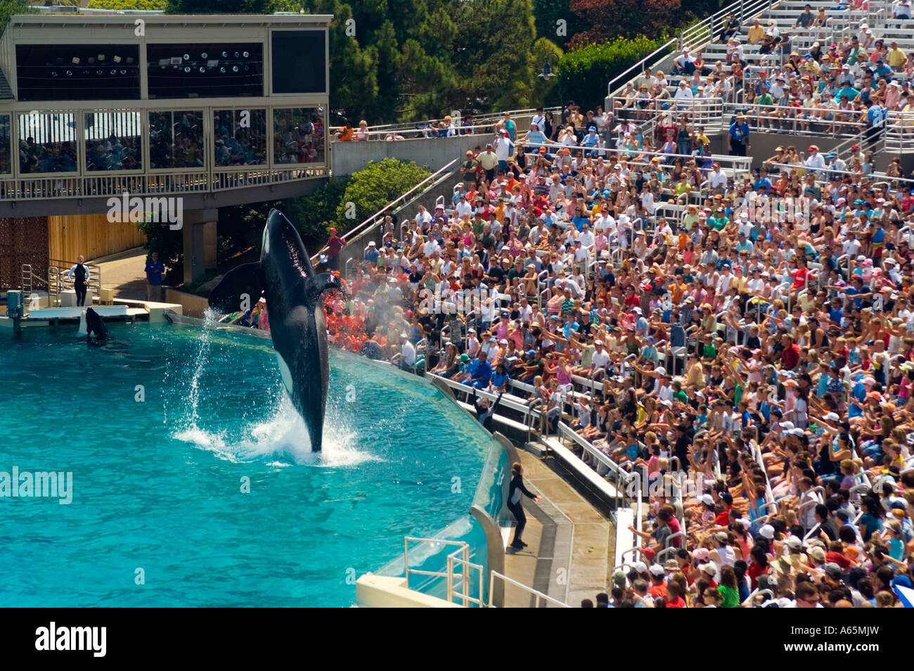Orca Stadium High Resolution Stock Photography and Images - Alamy