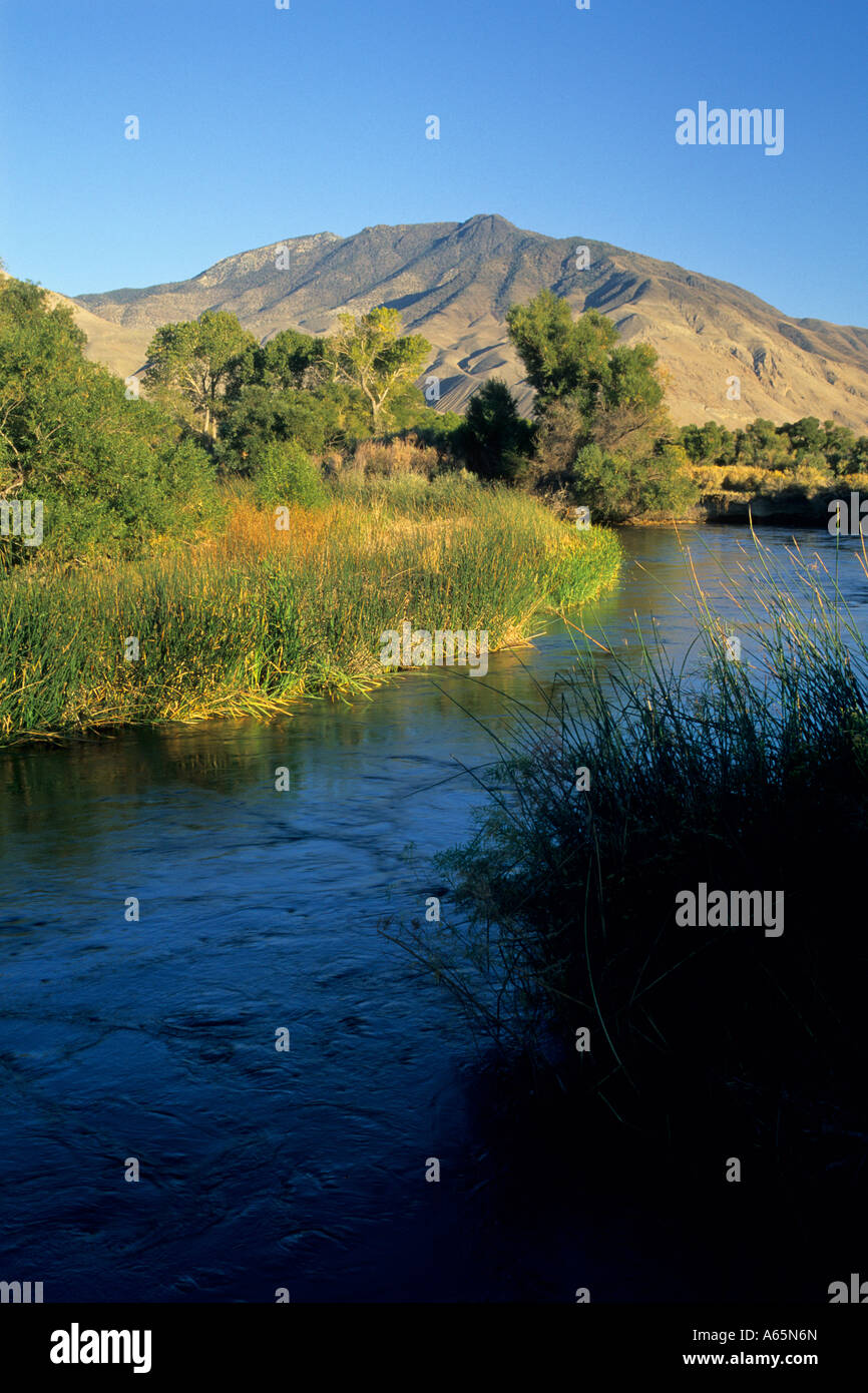 Owens River below Black Mountain, Owens Valley, Eastern Sierra near ...