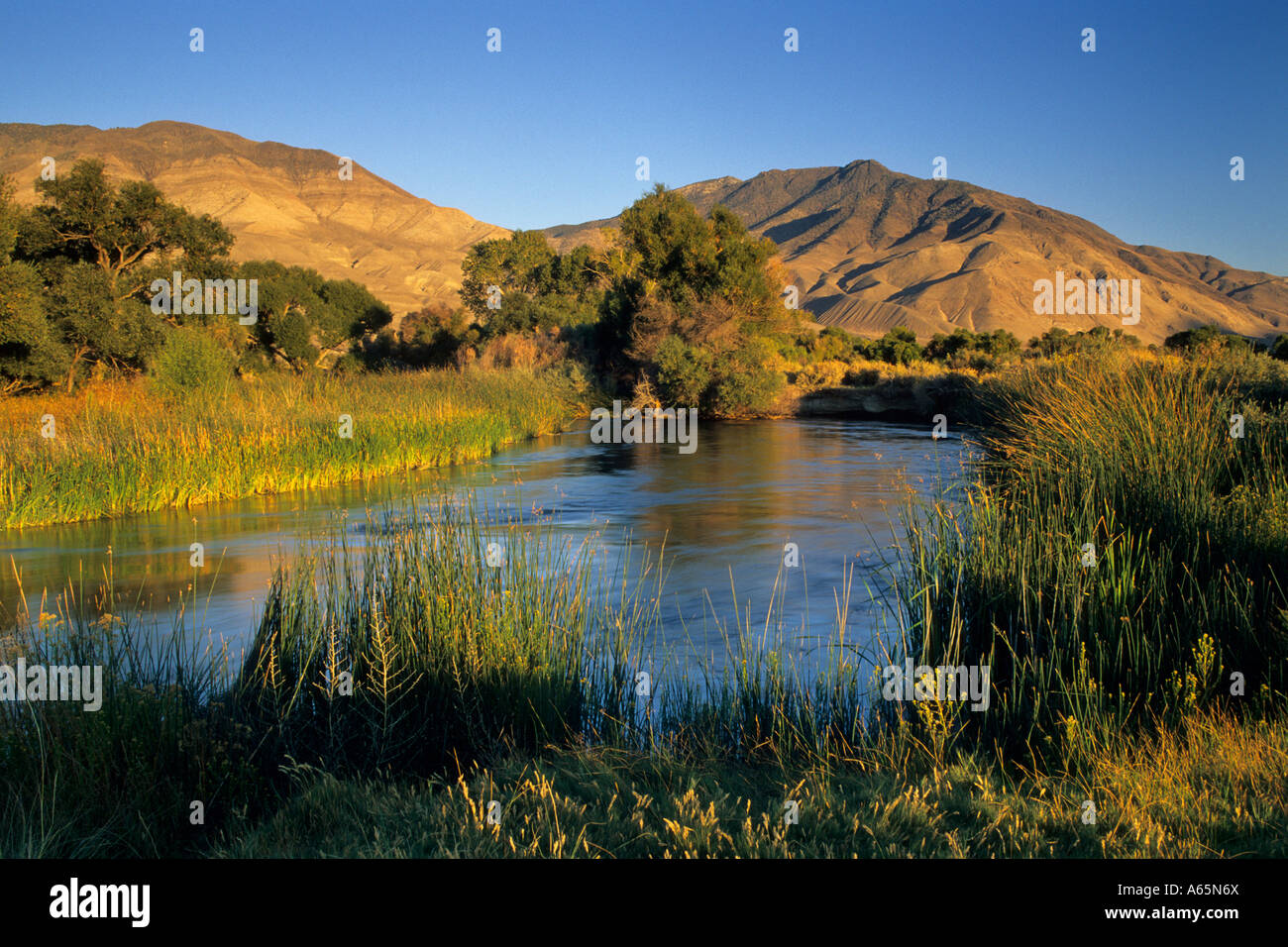 Owens River below Black Mountain, Owens Valley, Eastern Sierra near ...