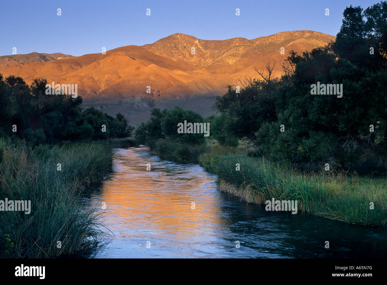Sunset light on the Inyo Mountains over the Owens River, Owens Valley ...