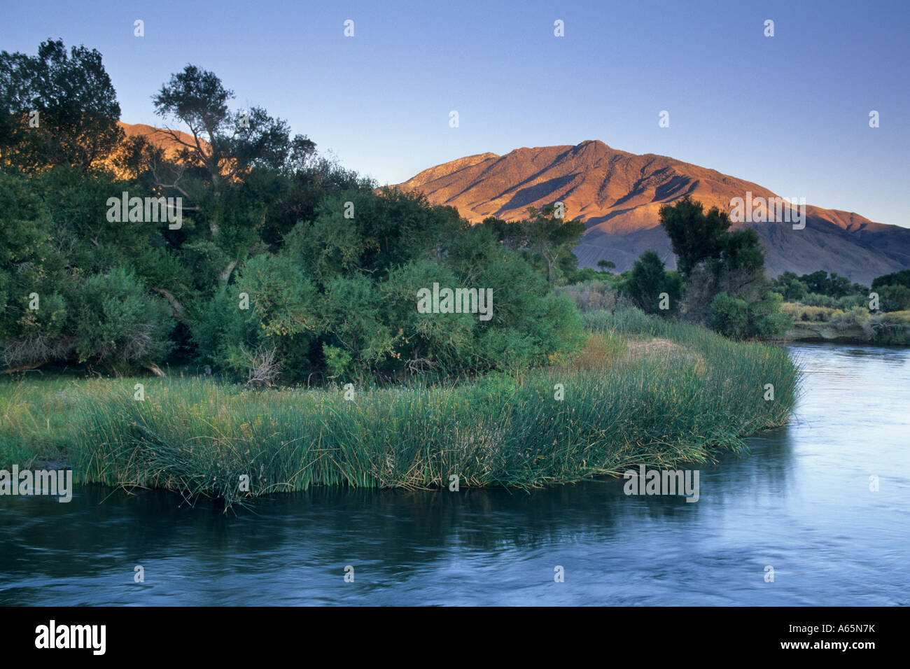 Sunset light on the Inyo Mountains over the Owens River, Owens Valley ...