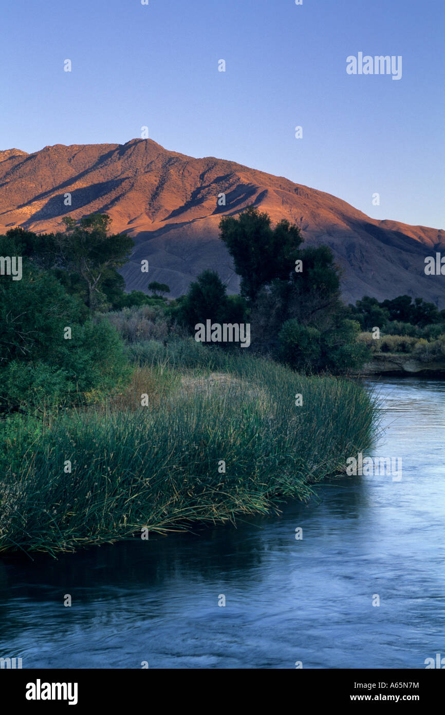 Sunset light on the Inyo Mountains over the Owens River, Owens Valley ...
