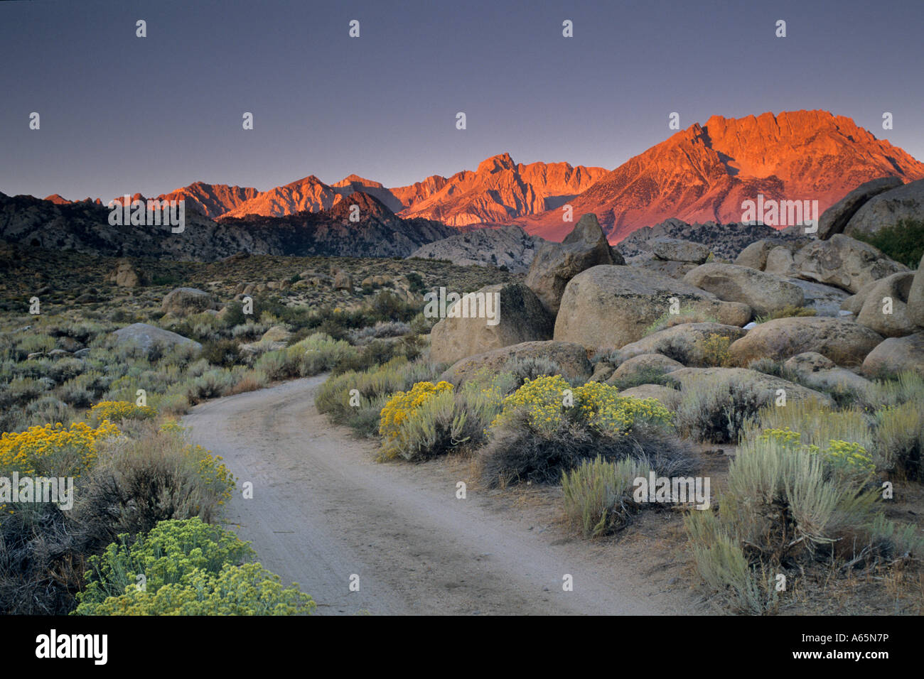 Alpenglow at sunrise on high peaks over dirt road in the Buttermilks ...