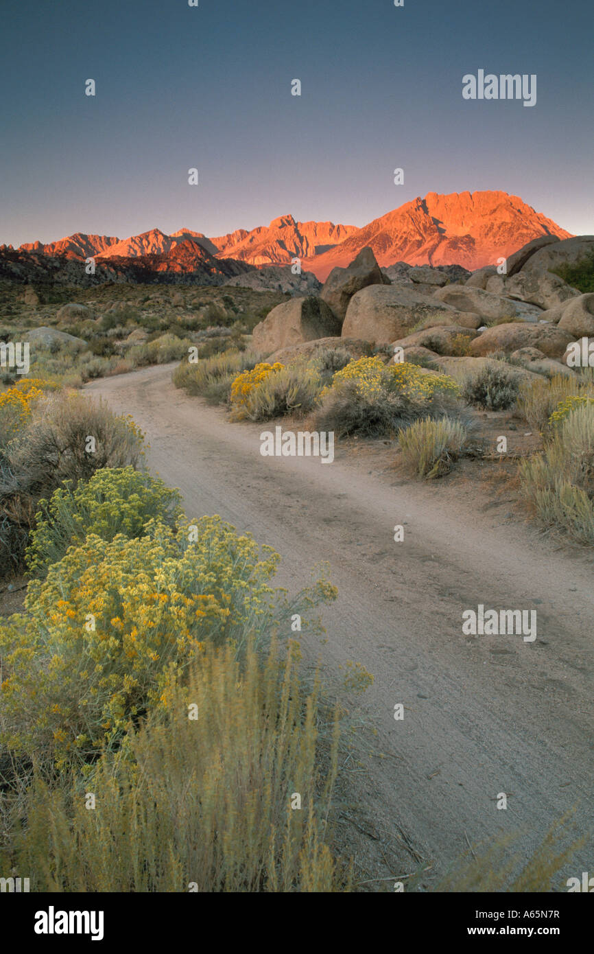 Alpenglow at sunrise on high peaks over dirt road in the Buttermilks ...