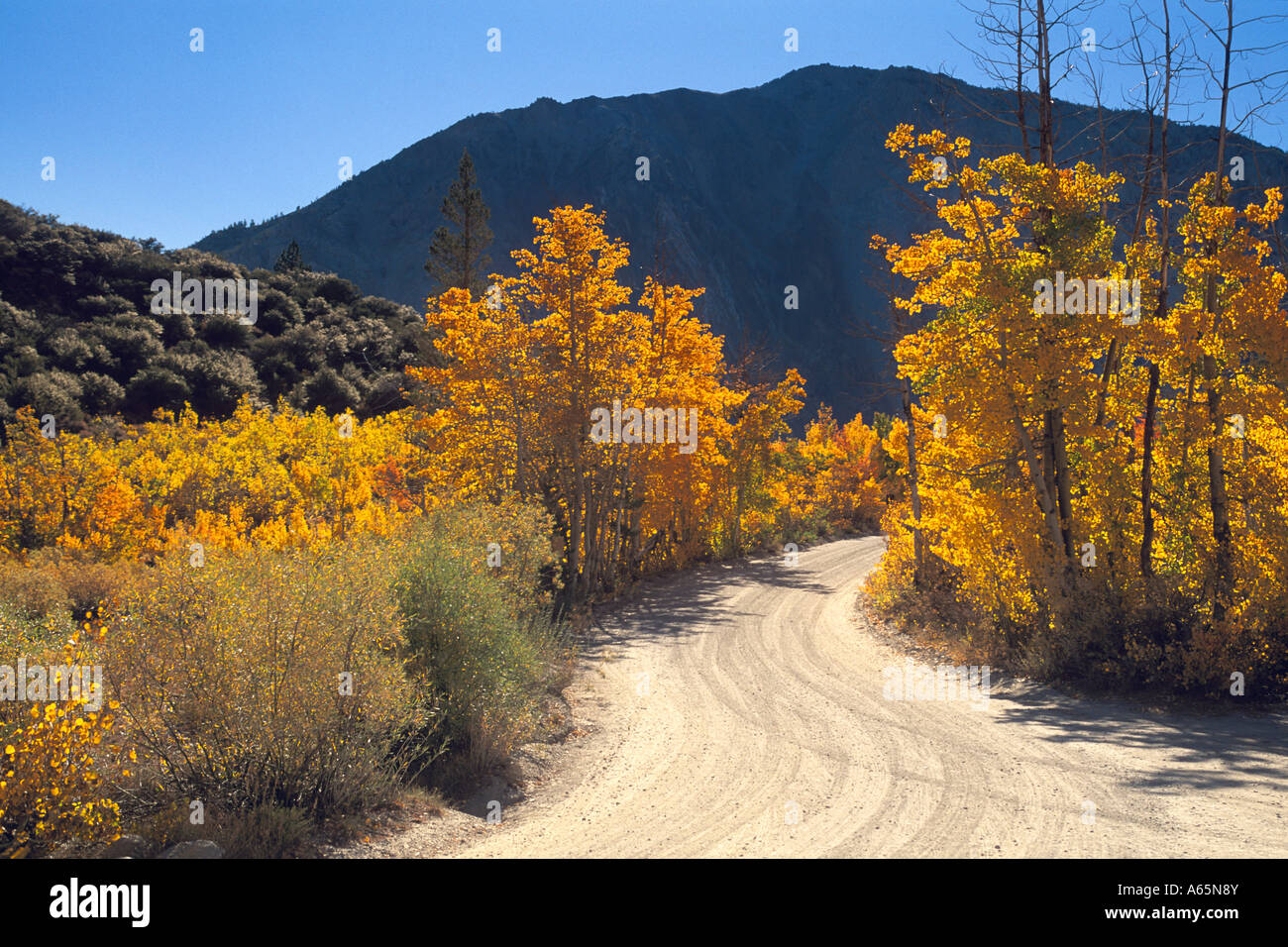 Curving dirt road with autumn colors hi-res stock photography and ...