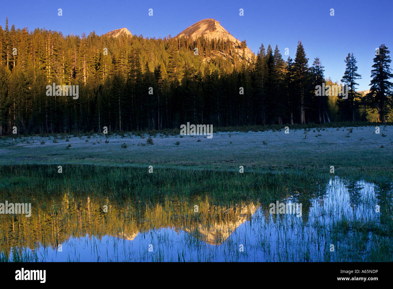 Sunrise light on Fairview Dome from Tuolumne Meadows, Tioga Pass Road ...