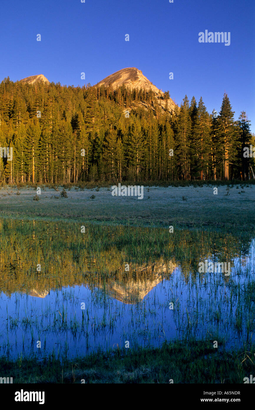 Sunrise light on Fairview Dome from Tuolumne Meadows, Tioga Pass Road ...