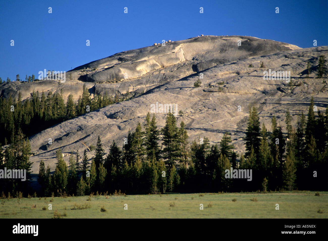 Morning light on Pothole Dome above Tuolumne Meadows Tioga Pass Road ...