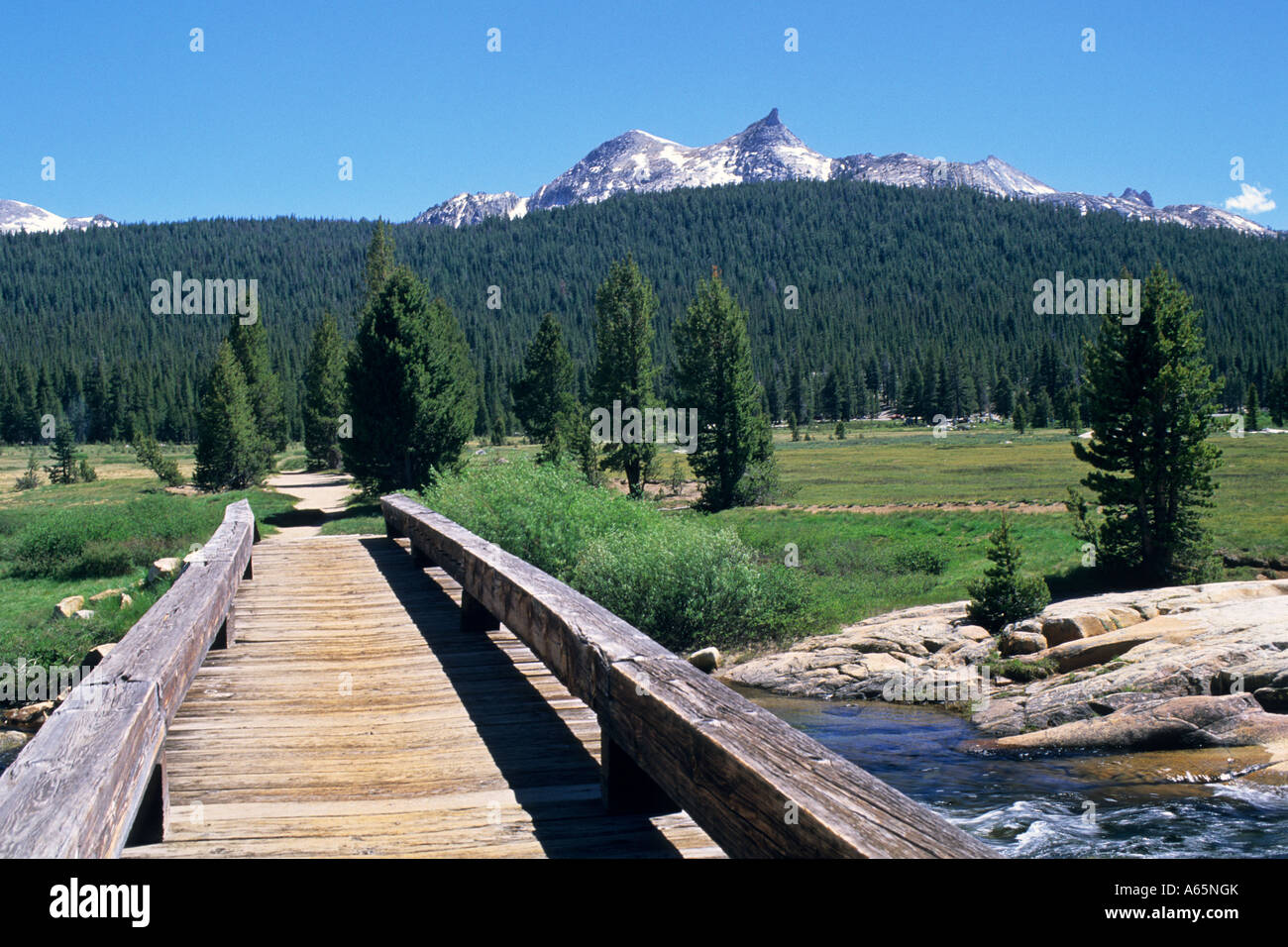 Wood bridge on trail over the Tuolumne River in summer Tuolumne Meadows ...
