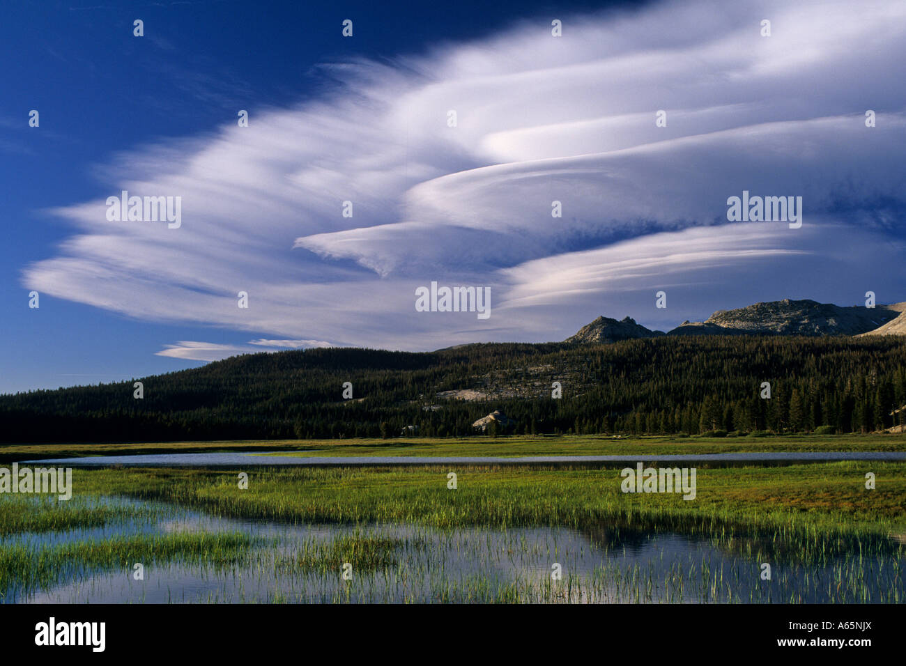 Lenticular cloud reflection over Ragged Peak and Tuolumne Meadows Tioga ...