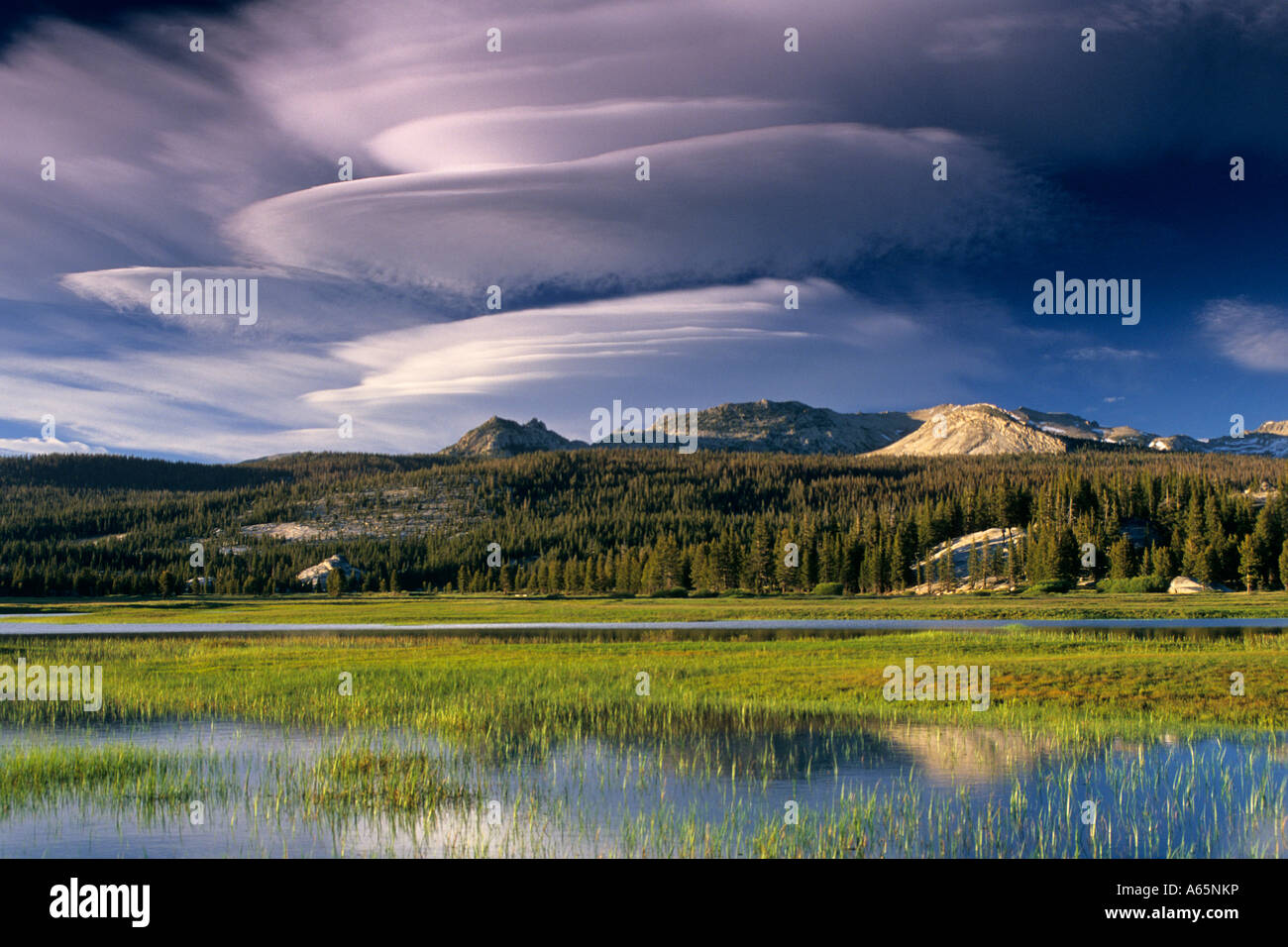 Lenticular cloud reflection over Ragged Peak and Tuolumne Meadows Tioga ...