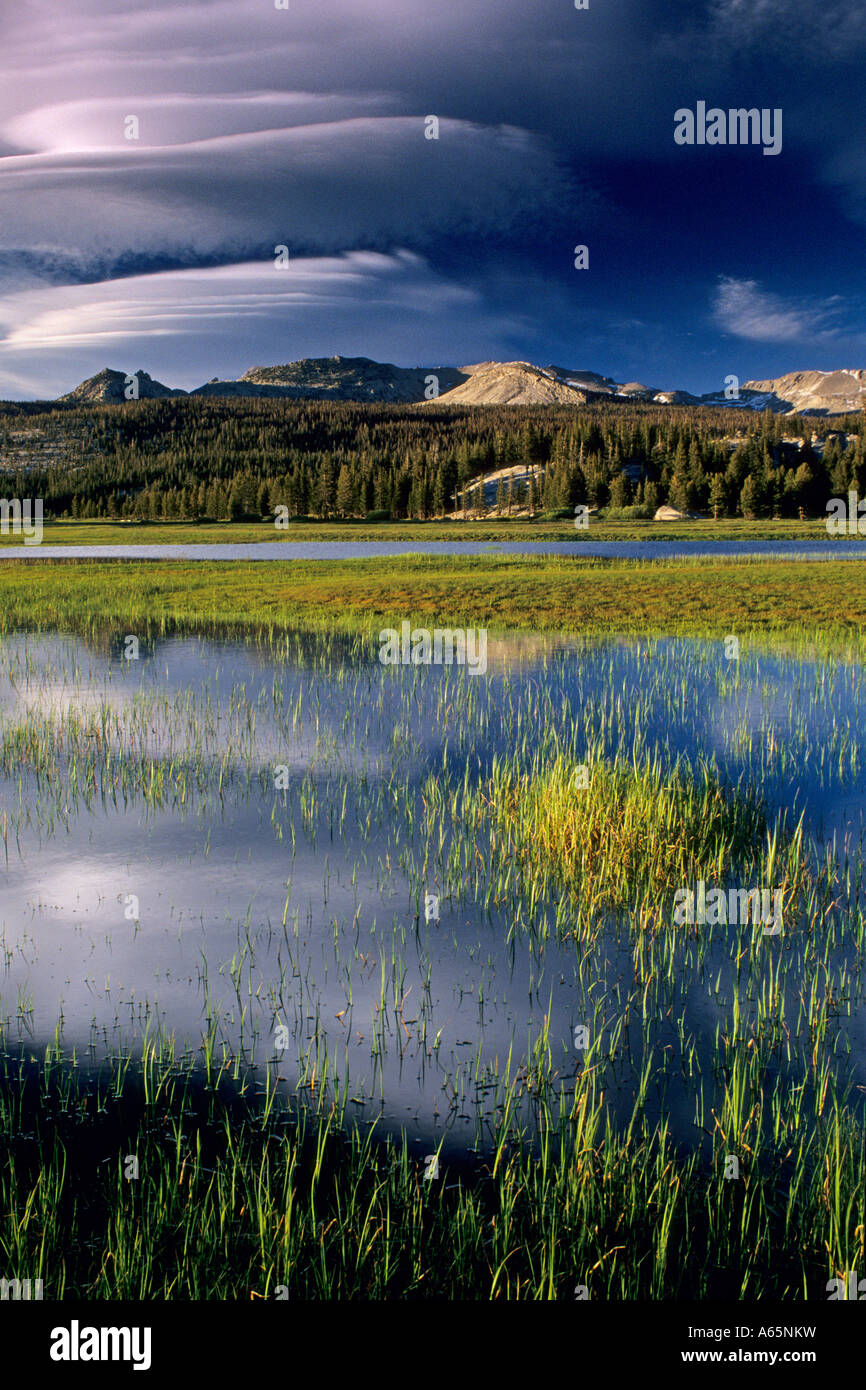 Lenticular cloud reflection over Ragged Peak and Tuolumne Meadows Tioga ...