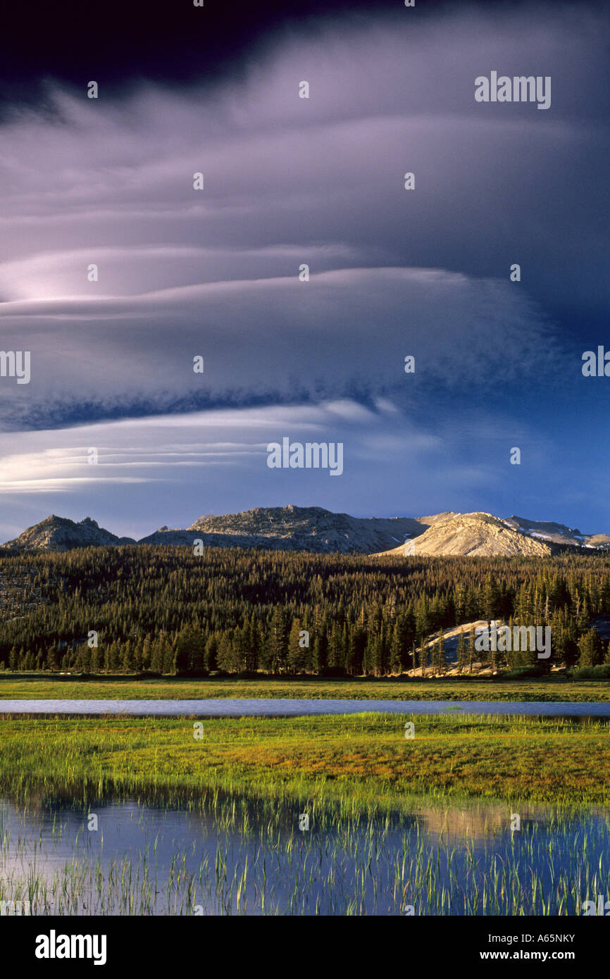 Lenticular cloud reflection over Ragged Peak and Tuolumne Meadows Tioga ...