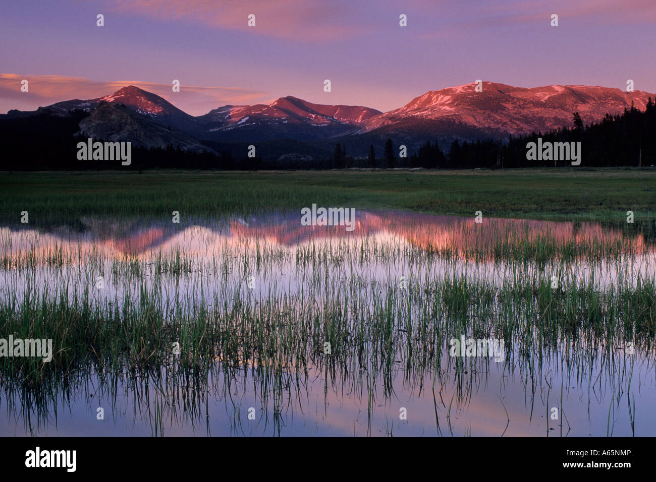 Lenticular cloud reflection sunset over Ragged Peak and Tuolumne ...