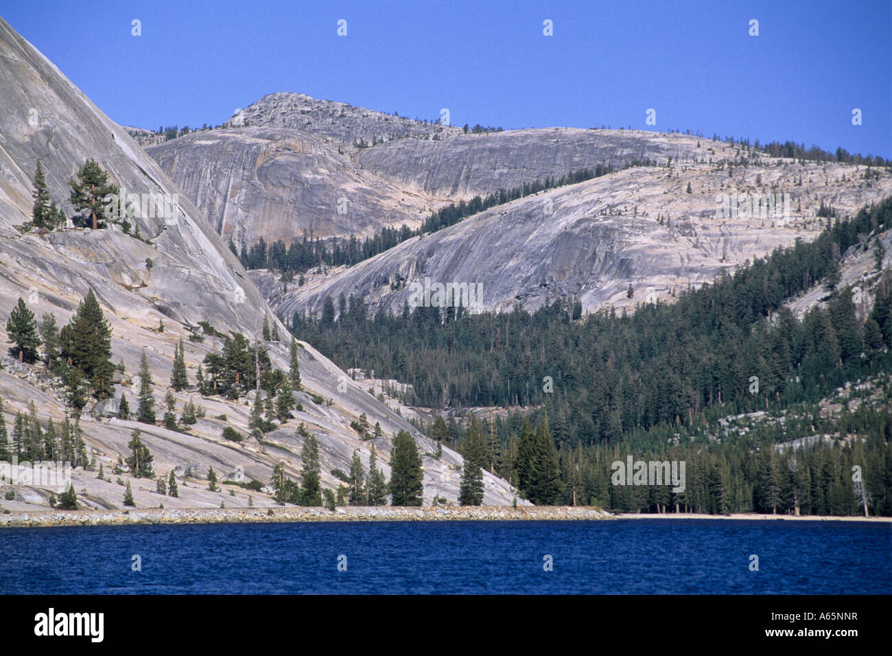 Tenaya Lake Yosemite National Park California Tenaya Lake Yosemite ...