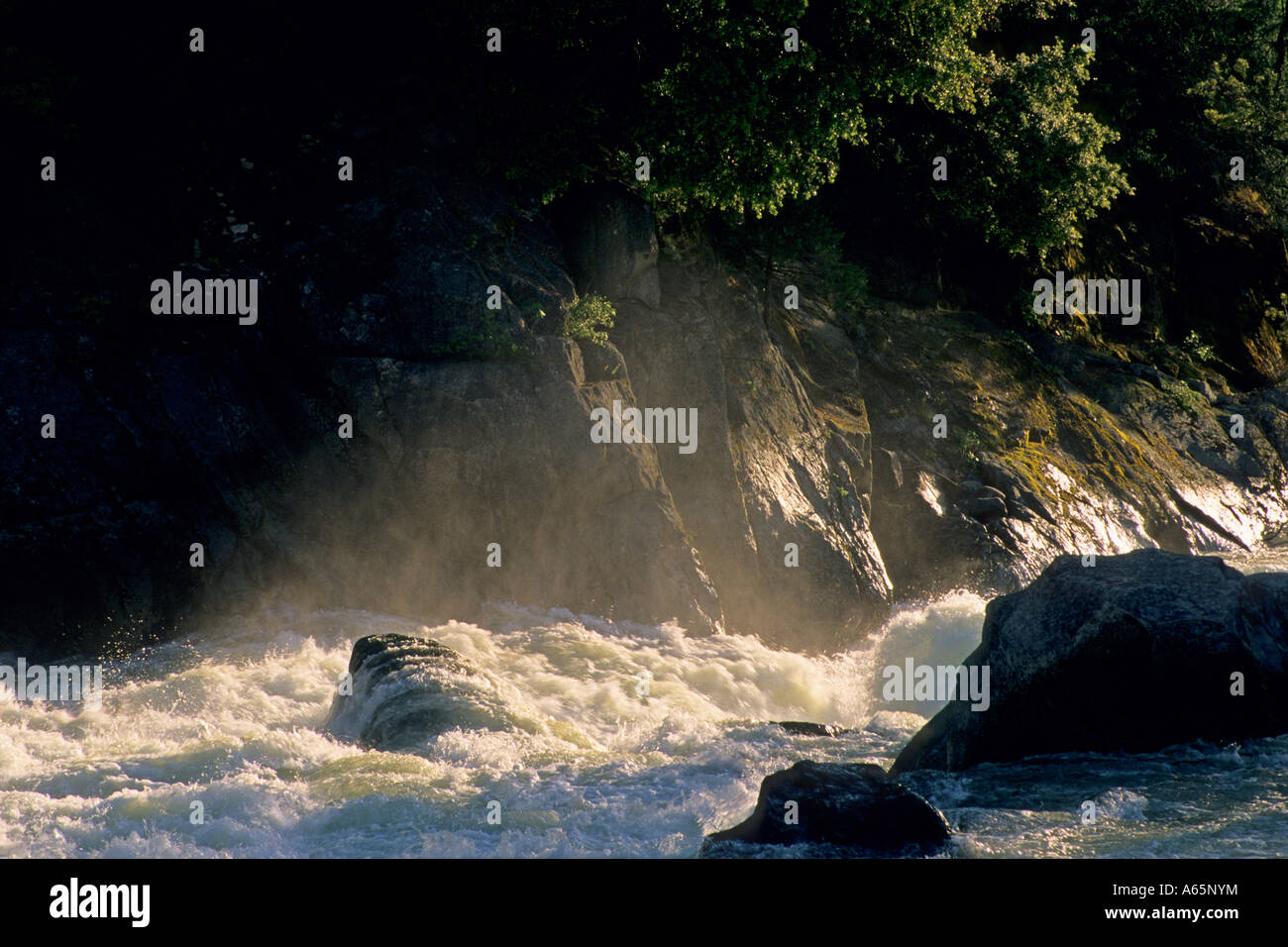 Afternoon light on the Merced River Merced River Canyon Yosemite ...