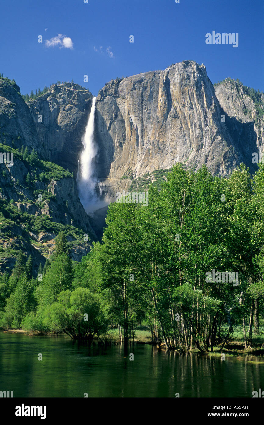 Yosemite Falls and Merced River in spring Yosemite Valley Yosemite ...