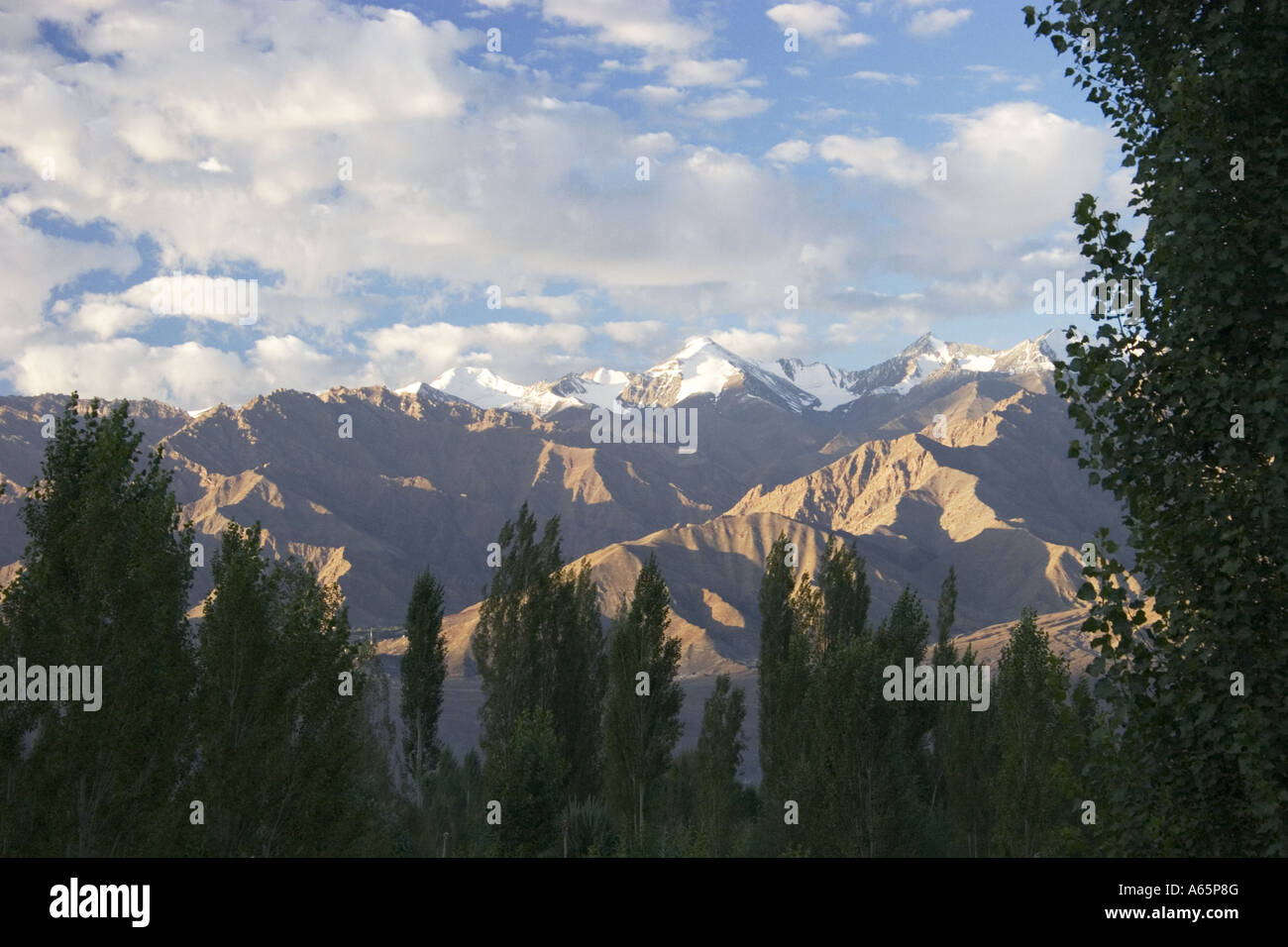 View on the Himalayan mountains of Ladakh Stock Photo - Alamy