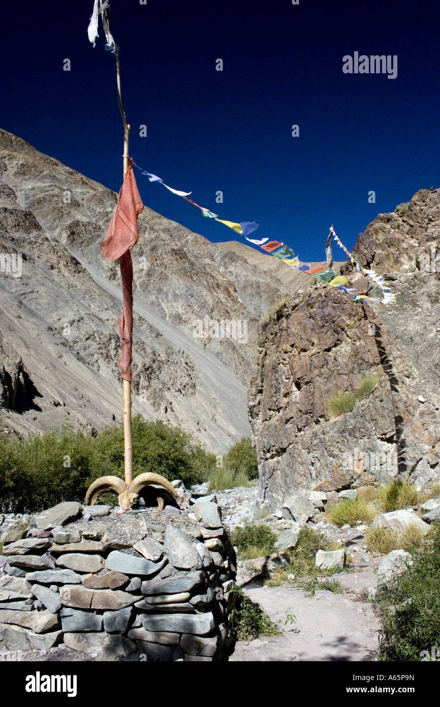 Tibetan buddhist prayer flags in the Himalayan region of Ladakh Stock ...