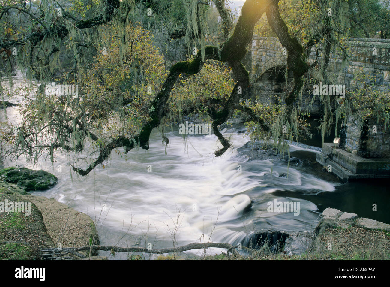 Old stone bridge across the Napa River in winter near St Helena Napa ...