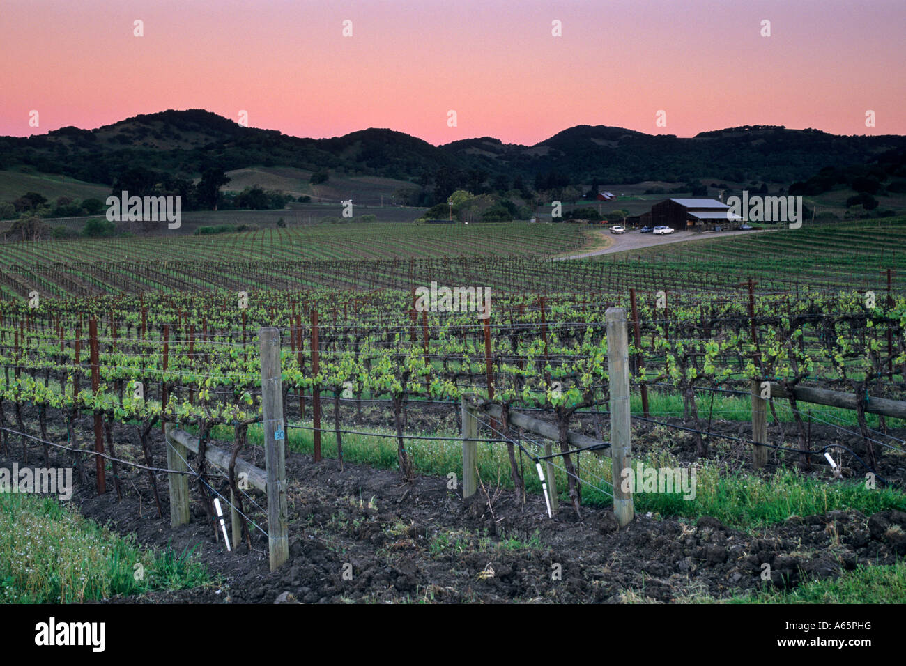 Napa carneros region hi-res stock photography and images - Alamy