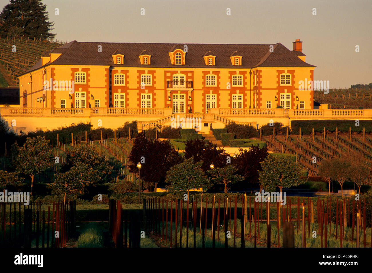 Sunrise light on Domaine Carneros Carneros Region Napa County ...