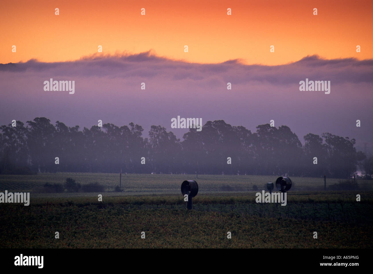 Carneros wine region california hi-res stock photography and images - Alamy