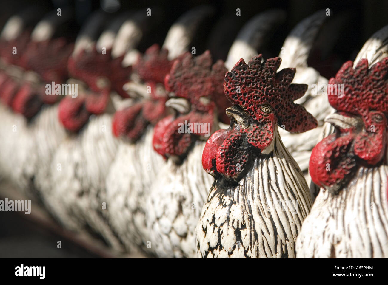 Roosters in a row Stock Photo - Alamy