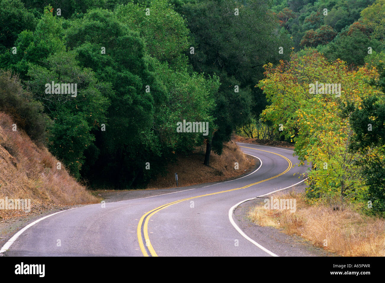 Twisting curves on Sage Canyon Road Highway 128 Napa County California ...