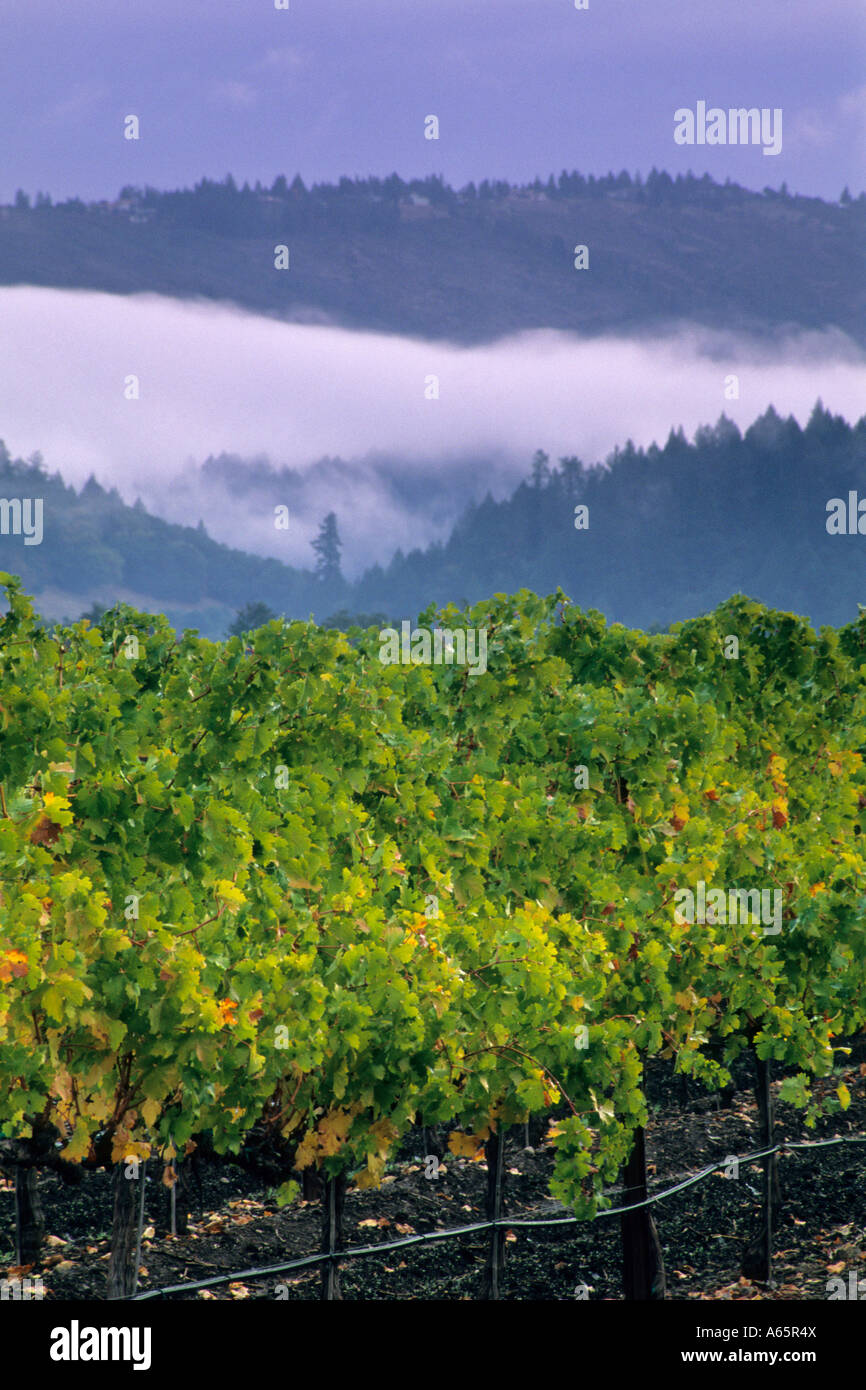 St helena weather hi-res stock photography and images - Alamy