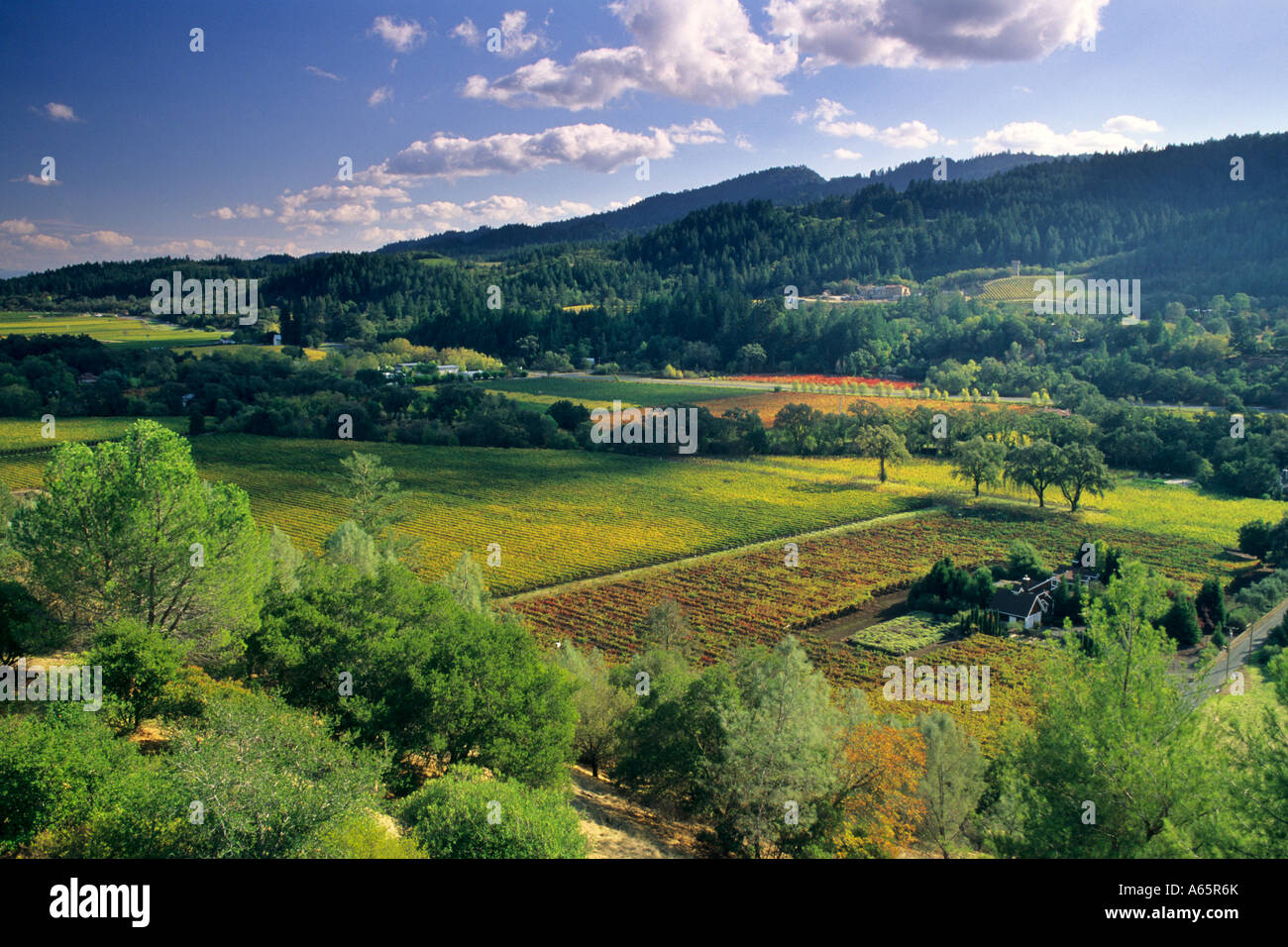 Overlooking the Napa Valley from Sterling Vineyards Calistoga Napa ...
