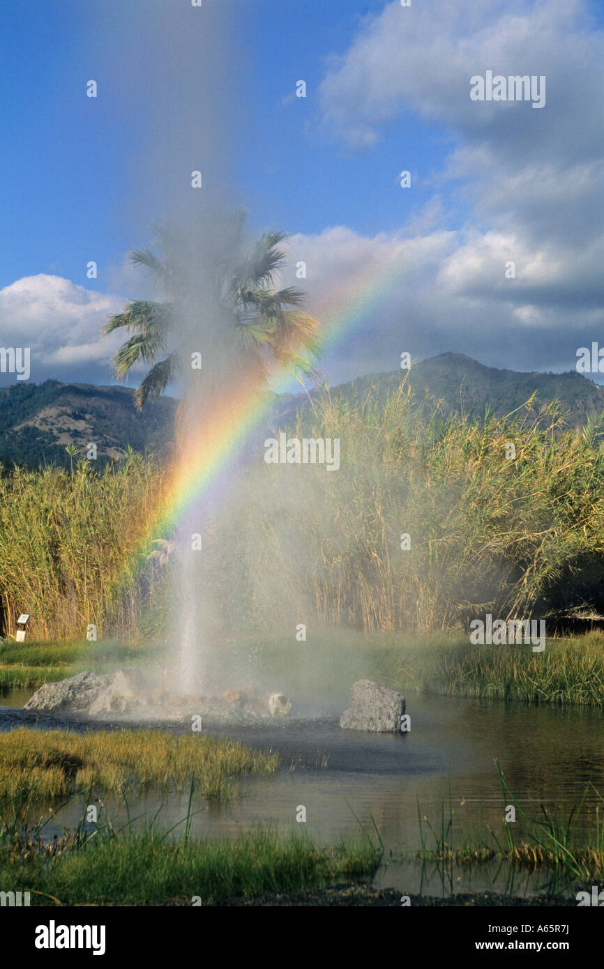 Old Faithful Geyser Calistoga Napa County California Stock Photo - Alamy