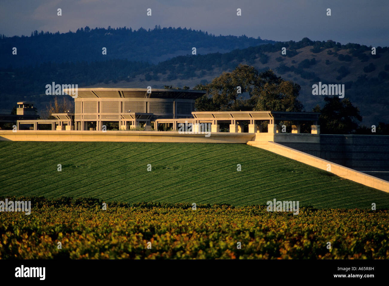 Opus one winery hi-res stock photography and images - Alamy