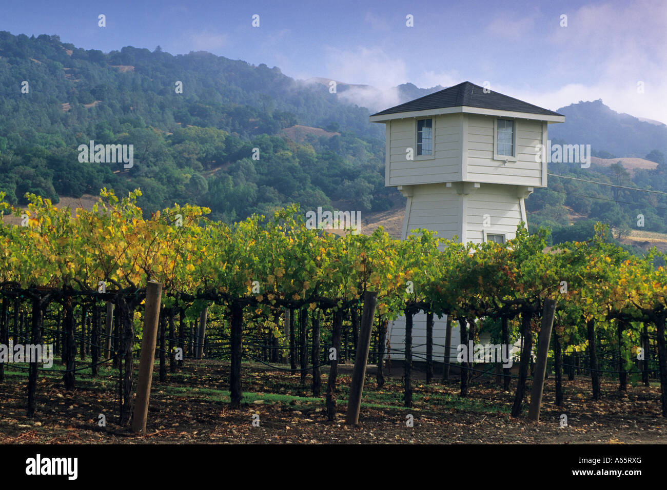 Silver oak vineyard water tower hi-res stock photography and images - Alamy