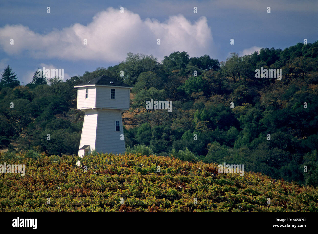 Silver oak vineyard water tower hi-res stock photography and images - Alamy