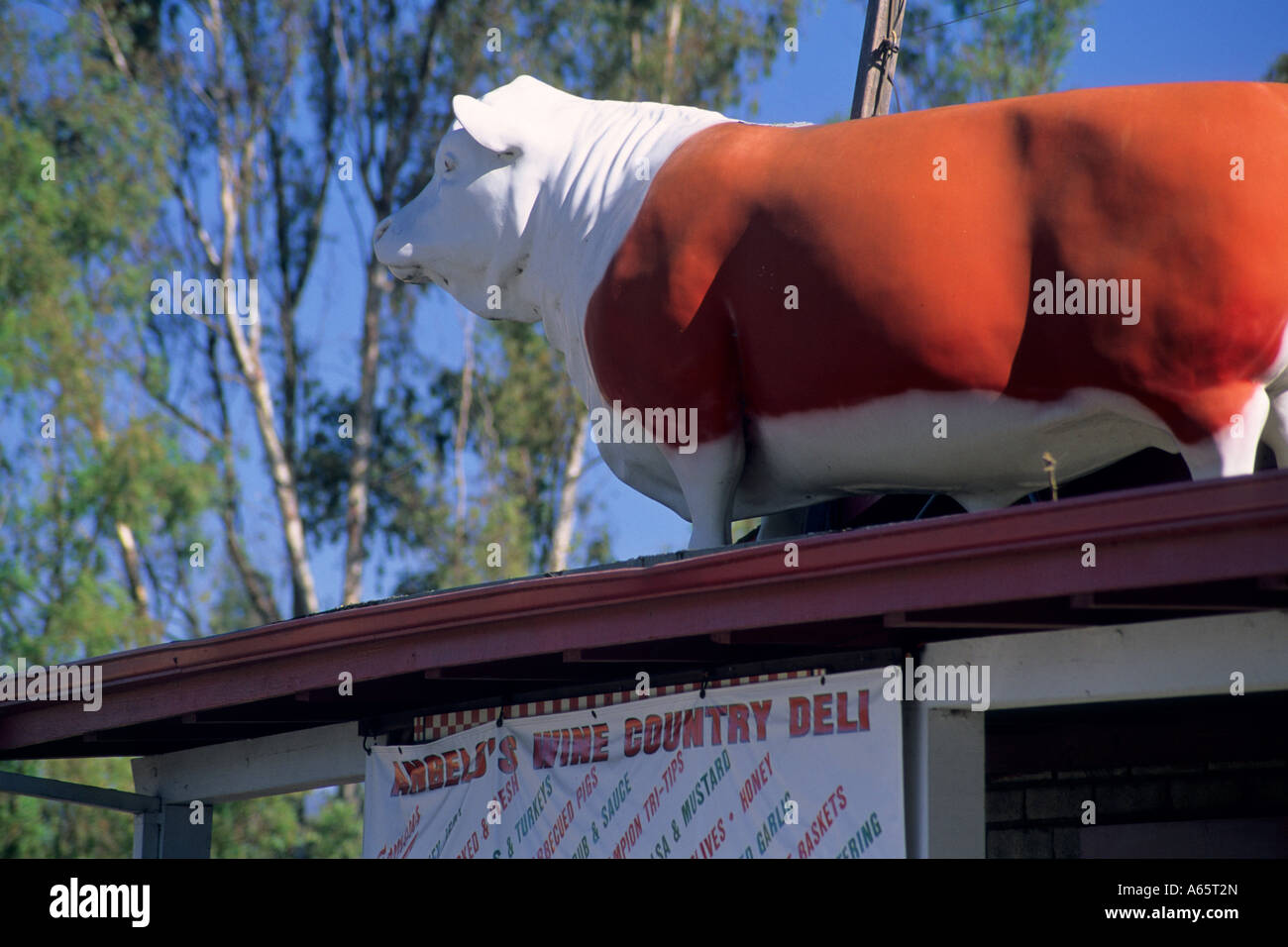 Cow Fake atop Angelo s Deli Sonoma Valley Sonoma County California ...