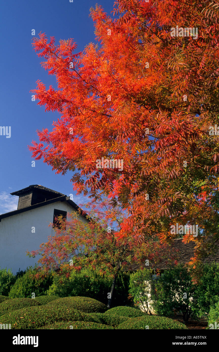 Landmark Vineyards Valley of the Moon Sonoma County California Stock ...