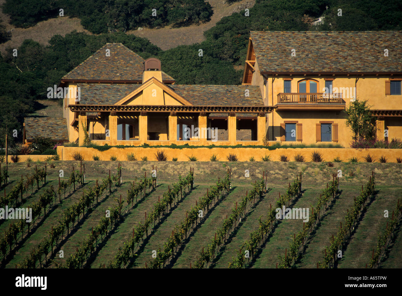 Nicholson Ranch Vineyards Winery along Highway 121 Sonoma County ...