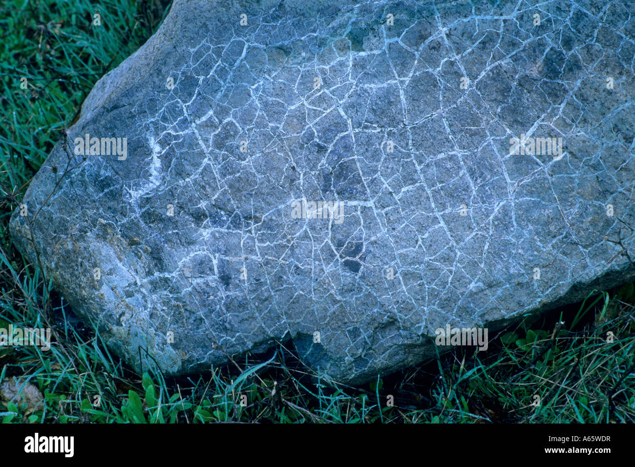 Quartz Veins in rock Sugarloaf Ridge State Park Sonoma County ...