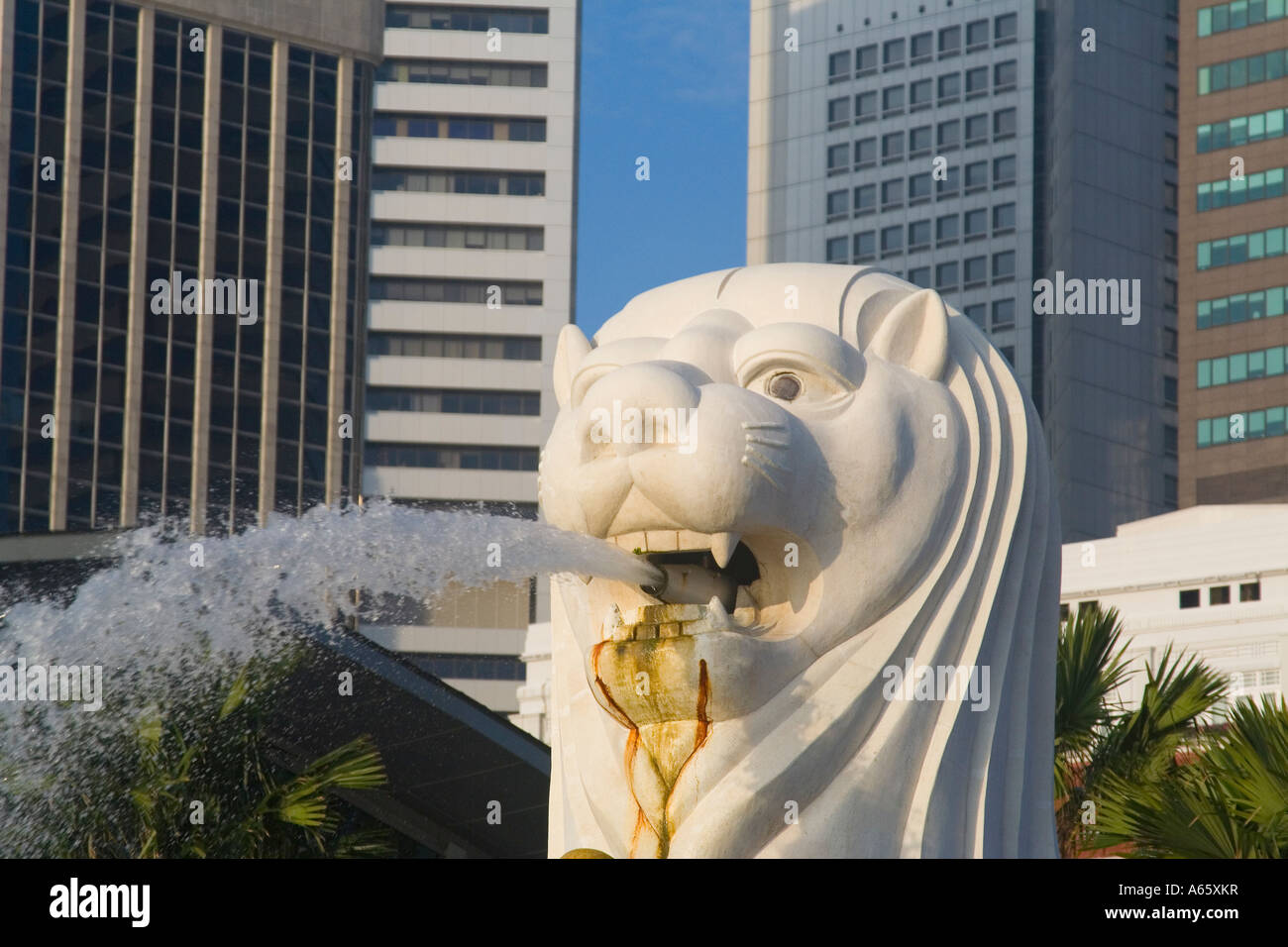Merlion Front View